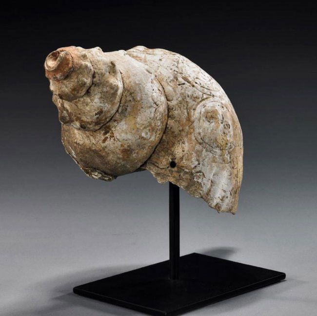 Maya Carved Shell Trumpet : Lot 485