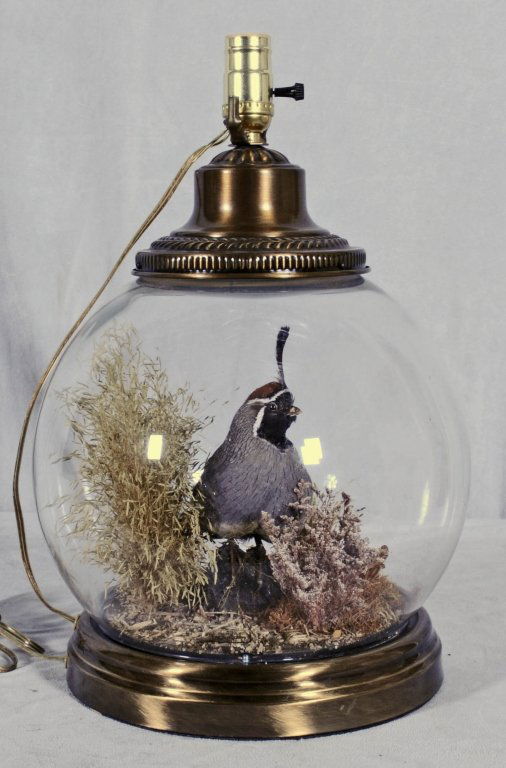 ROUND GLASS TABLE LAMP. STUFFED QUAIL INSIDE THE GLAS : Lot 34
