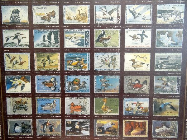 Federal Duck Stamp Collection Frame