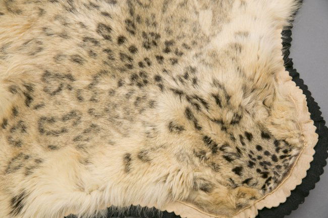 Himalayan Snow Leopard Skin Rug : Lot 19
