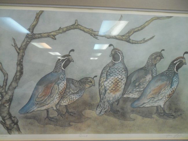 FRAMED GRACE FEYOCK QUAIL ART PRINT : Lot 545 FRAMED GRACE FEYOCK QUAIL ART PRINT : Lot 545