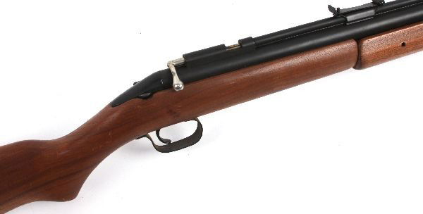 BOLT ACTION VARIABLE PUMP PELLET GUN : Lot 5556