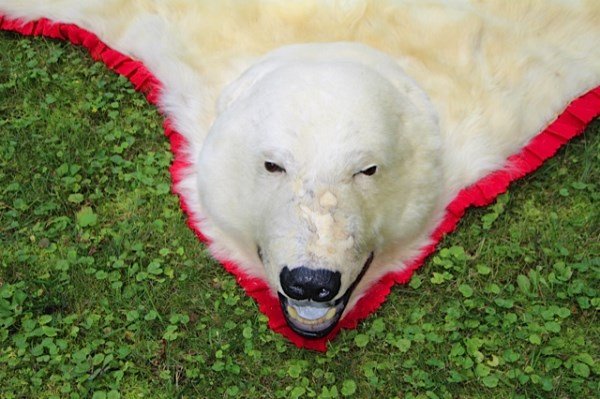 VINTAGE POLAR BEAR SKIN RUG : Lot 86
