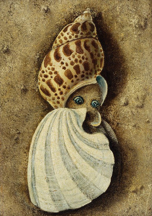 Grouping of (7) original oil paintings of seashells by : Lot 568