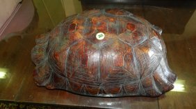 271: SELWYN FLOOR POSTER DISPLAY RACK : Lot 271